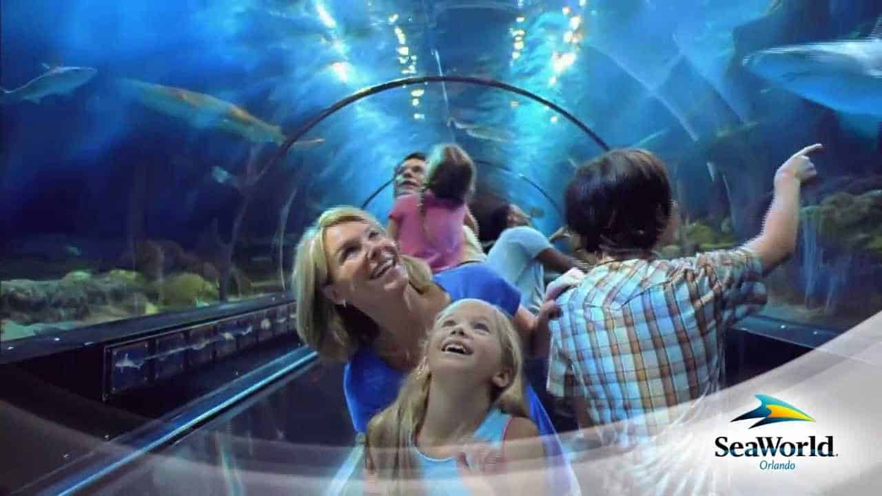 10 Razones Por Que Visitar SeaWorld Orlando ......